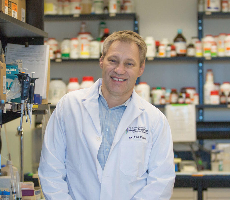 Intravital Imaging Platform | International Microbiome Centre ...