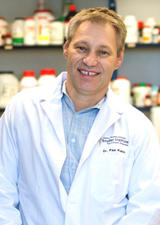 Researchers | International Microbiome Centre | University of Calgary